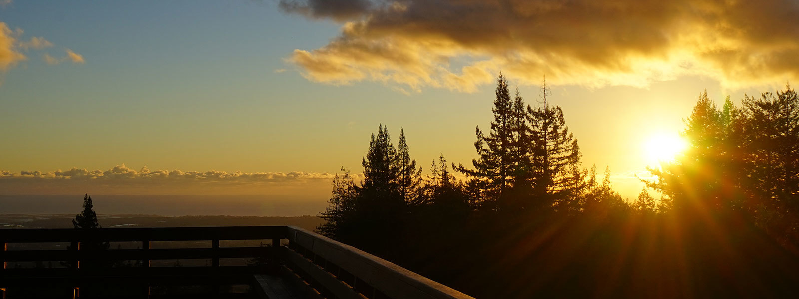 Group Retreat Venue California - Mount Madonna Center